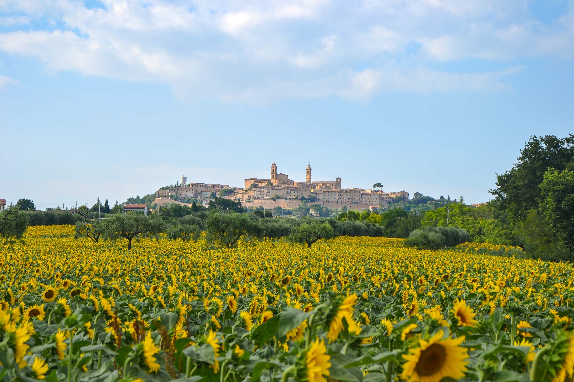 Le nostre scarpe marchigiane | Ottaviani Shoes